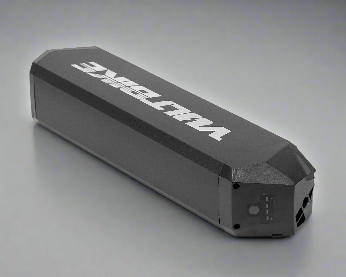 Clip-In Battery / Reention Dorado Style – VoltBike