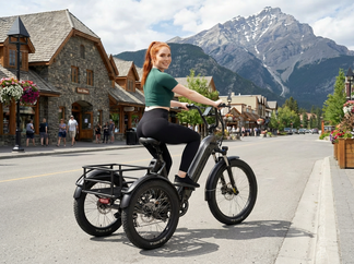 Trio V2 – VoltBike