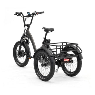 Buy Electric Tricycles Online | Adult Tricycle At Best Price – VoltBike